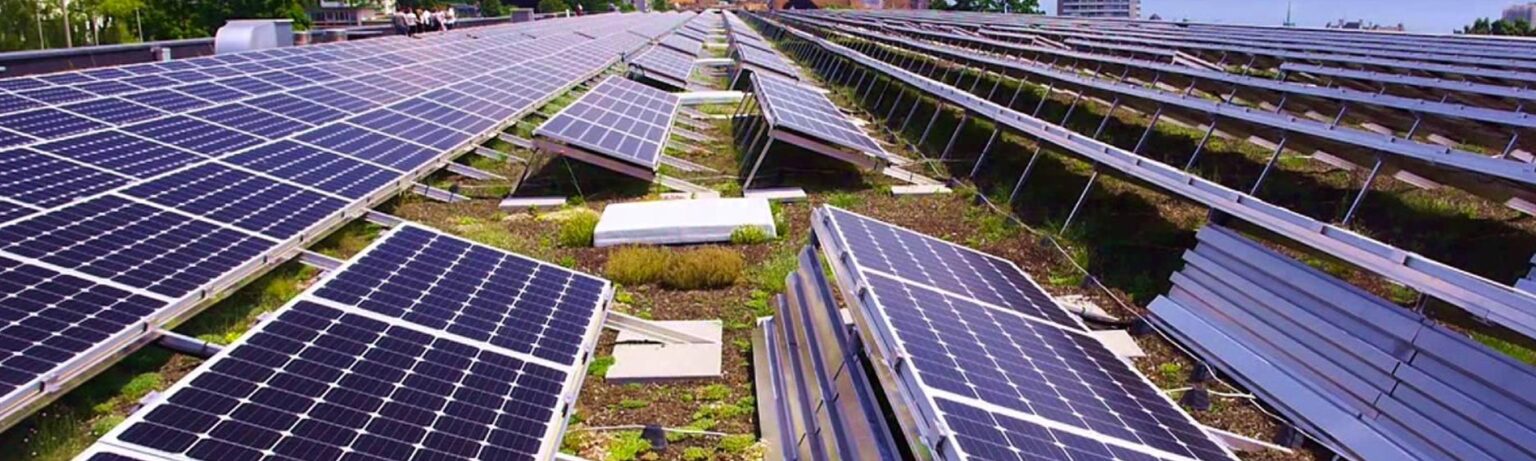 What are BioSolar Roofs and How Do They Benefit You? | Evo Energy