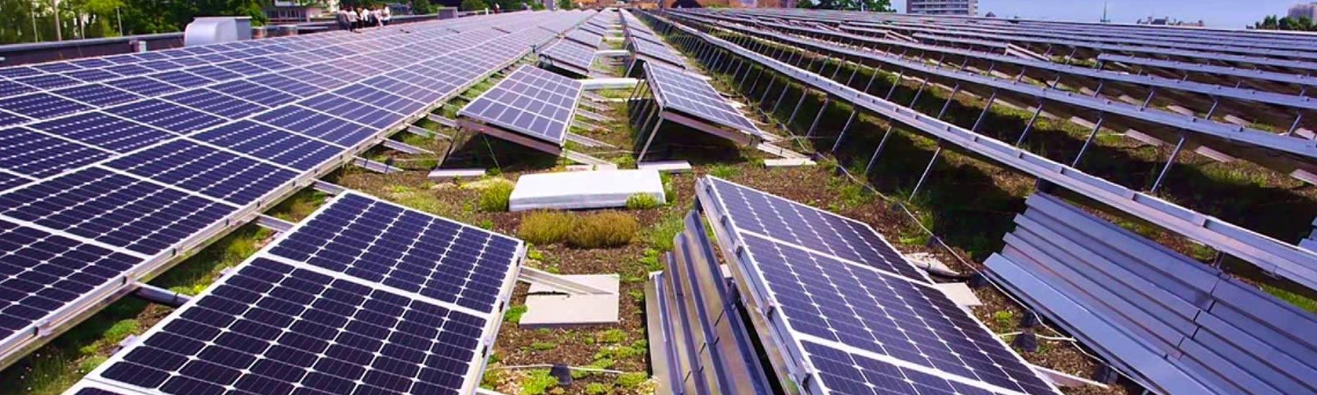 What are BioSolar Roofs and How Do They Benefit You? | Evo Energy